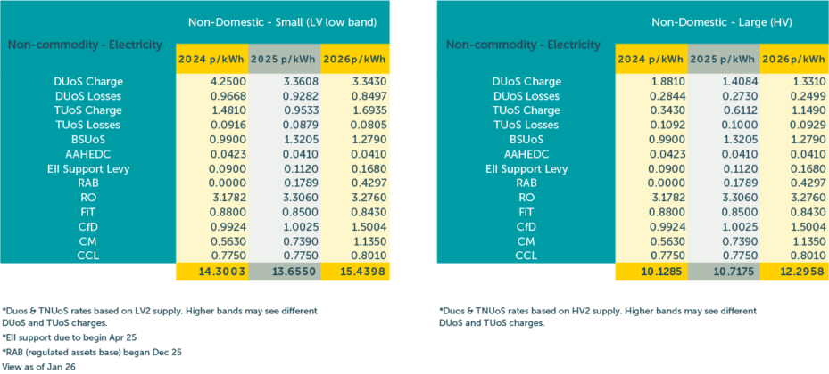Non-Commodity Cost Rises On Electricity Bill: 2026 & 2027 | Guide